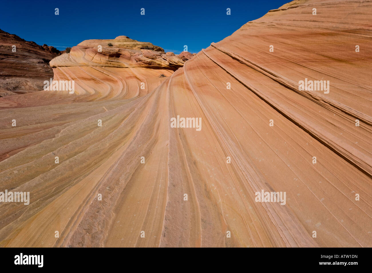 Wind-eroded sandstone formation of the Wave in Southern Utah, USA Stock ...