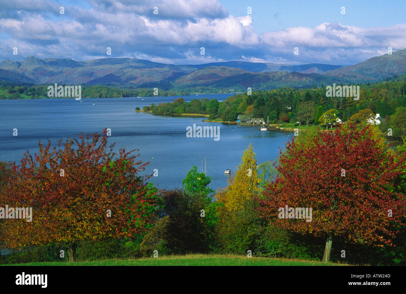 Lake District woodland and mountains around Lake Windermere Cumbria ...