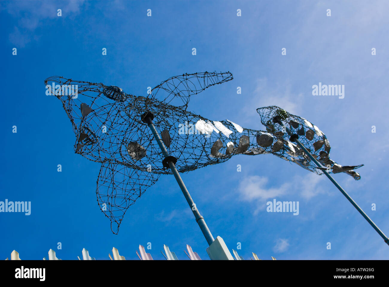 Fish Wire High Resolution Stock Photography and Images - Alamy