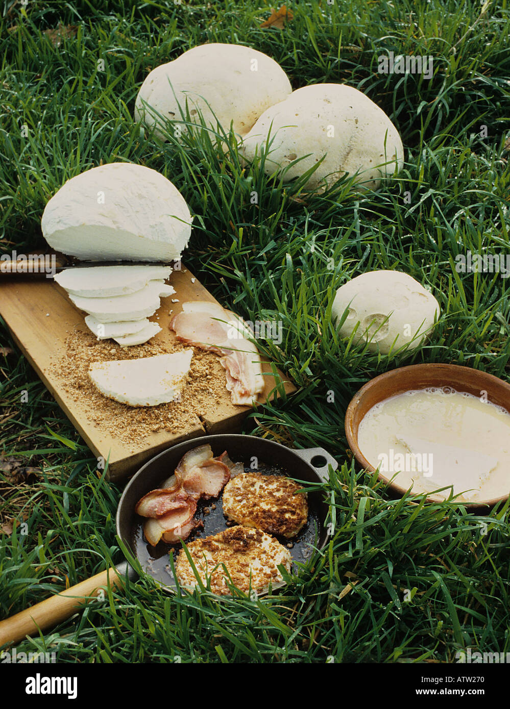 Edible Puffball Mushroom Recipes
