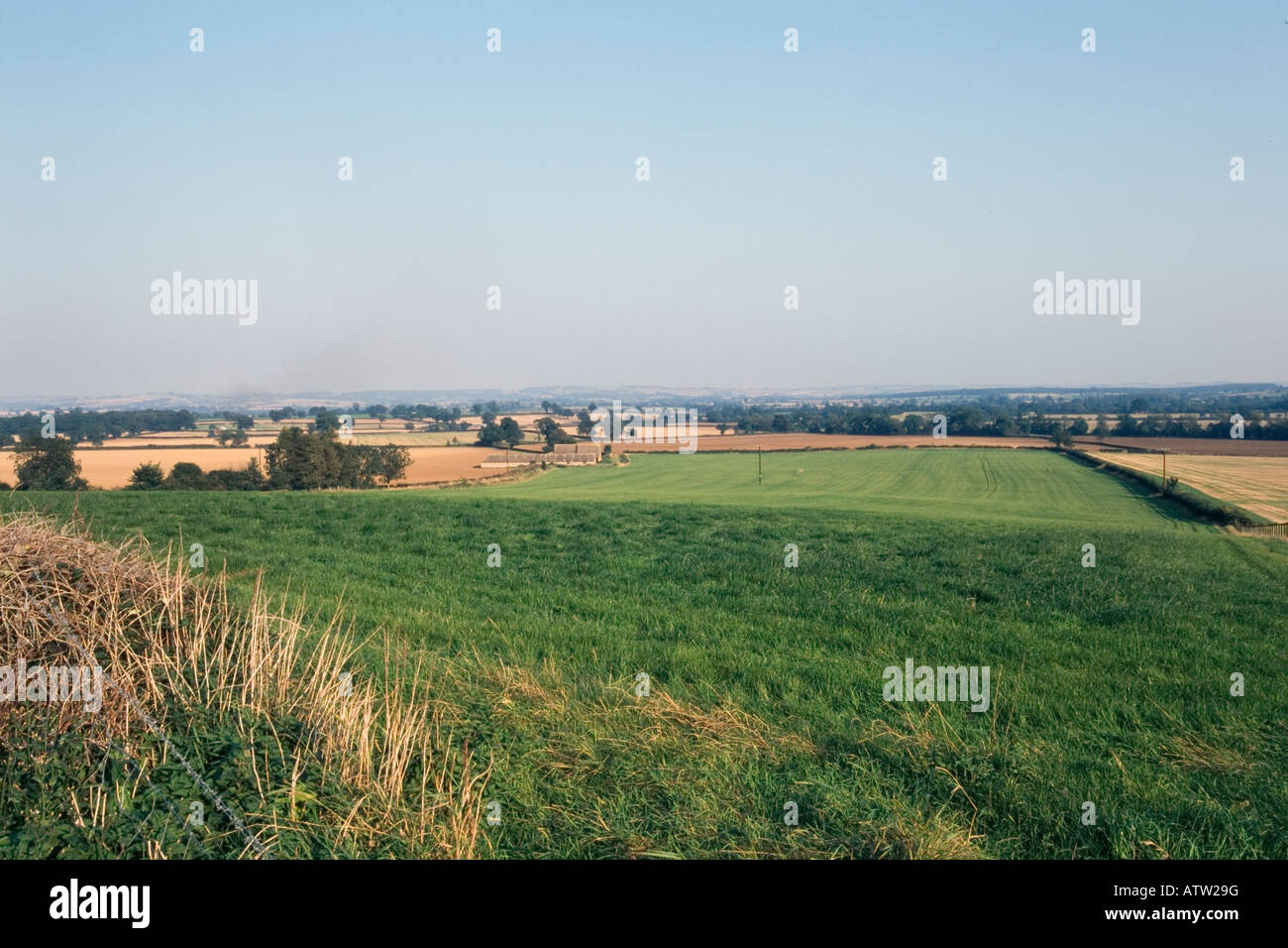 Open countryside view in the Cotswolds Stock Photo - Alamy