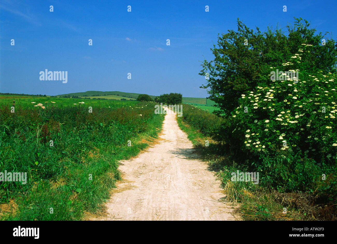 Prehistoric Ridgeway Path at Uffington Oxfordshire England Stock Photo ...