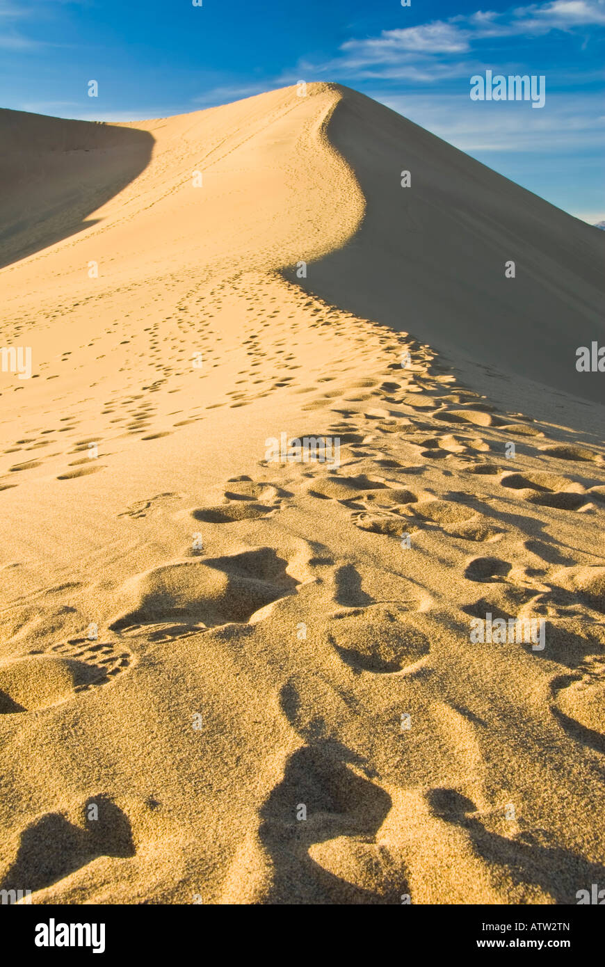 Sand Dunes in Death Valley National Park, California, USA Stock Photo ...