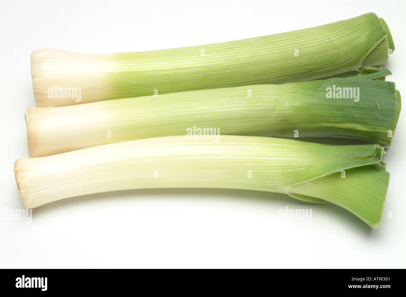 fresh Leeks onion cleaned and trimmed white studio background Stock ...