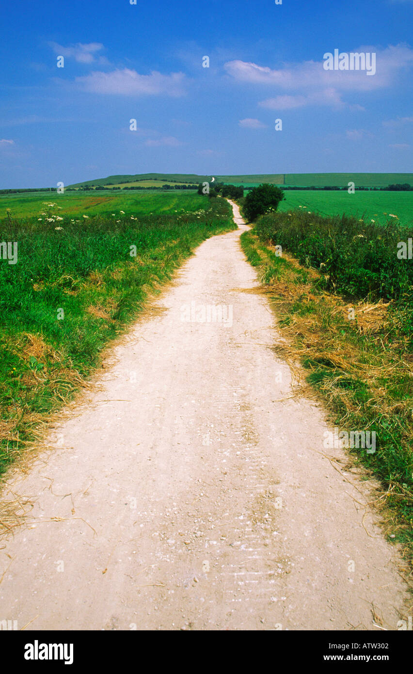 Prehistoric Ridgeway Path at Uffington Oxfordshire England Stock Photo ...