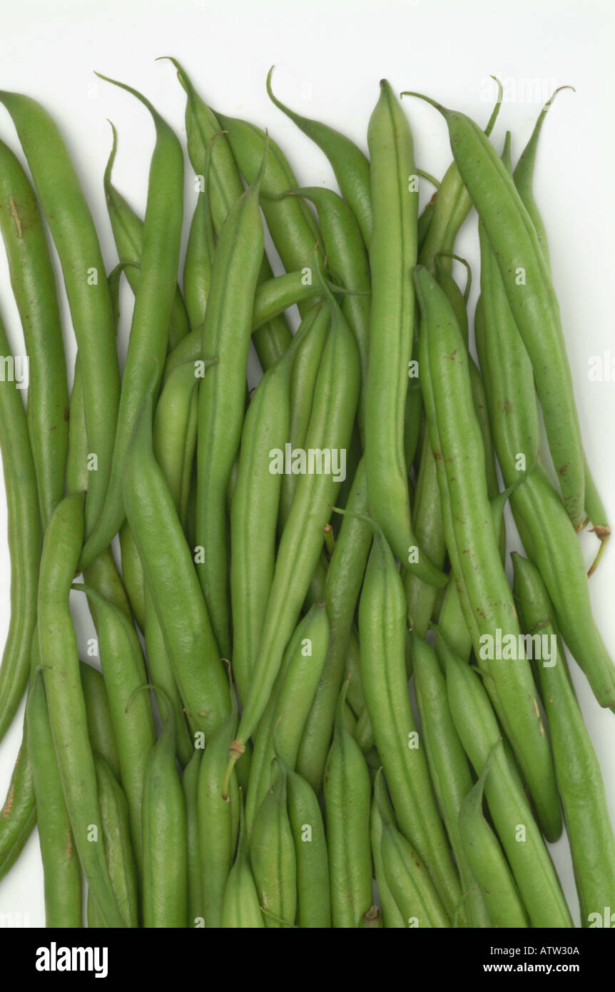 egypt dwarf beans Stock Photo - Alamy