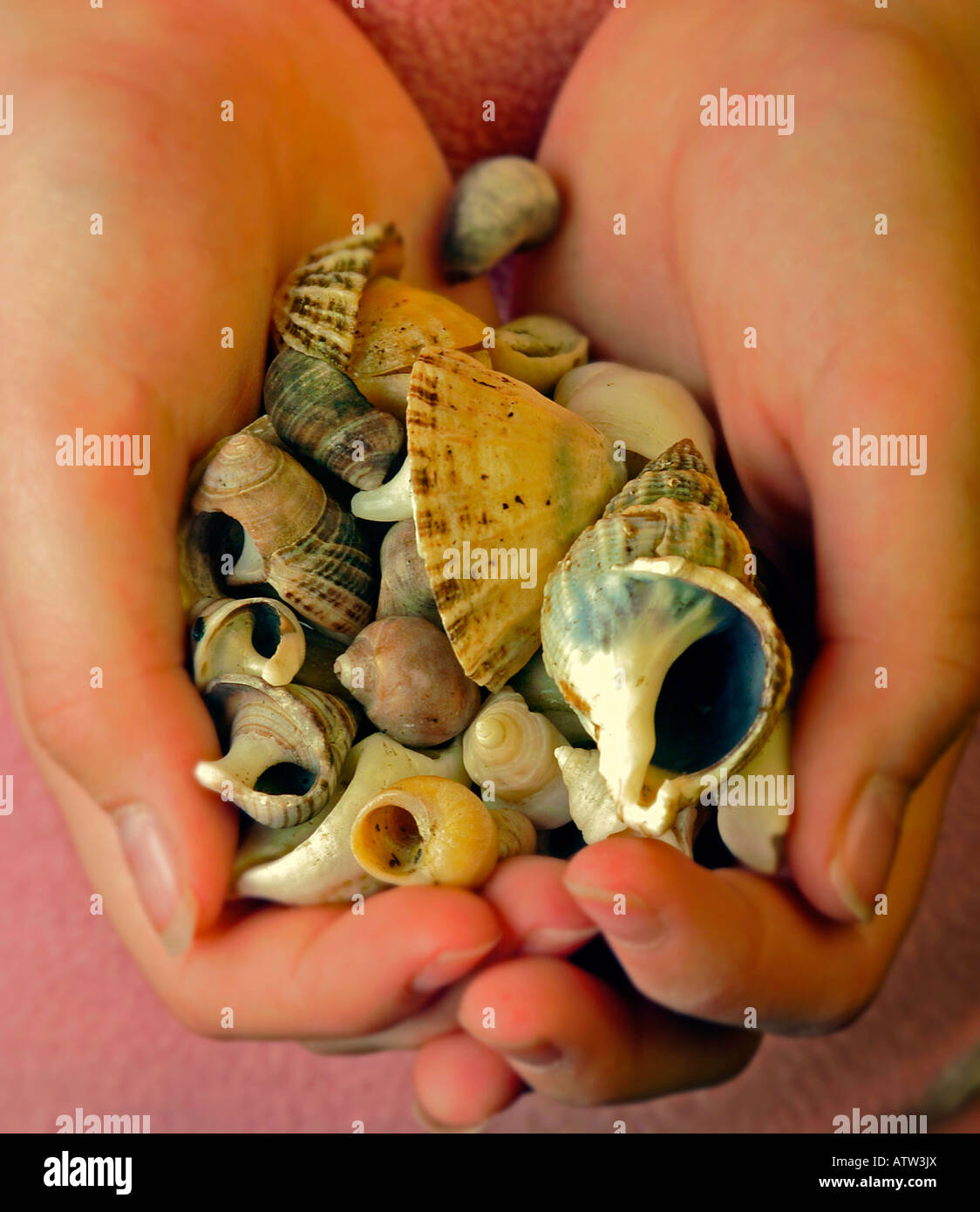 GIRL WITH HAND FULL OF SEA SHELLS Stock Photo - Alamy