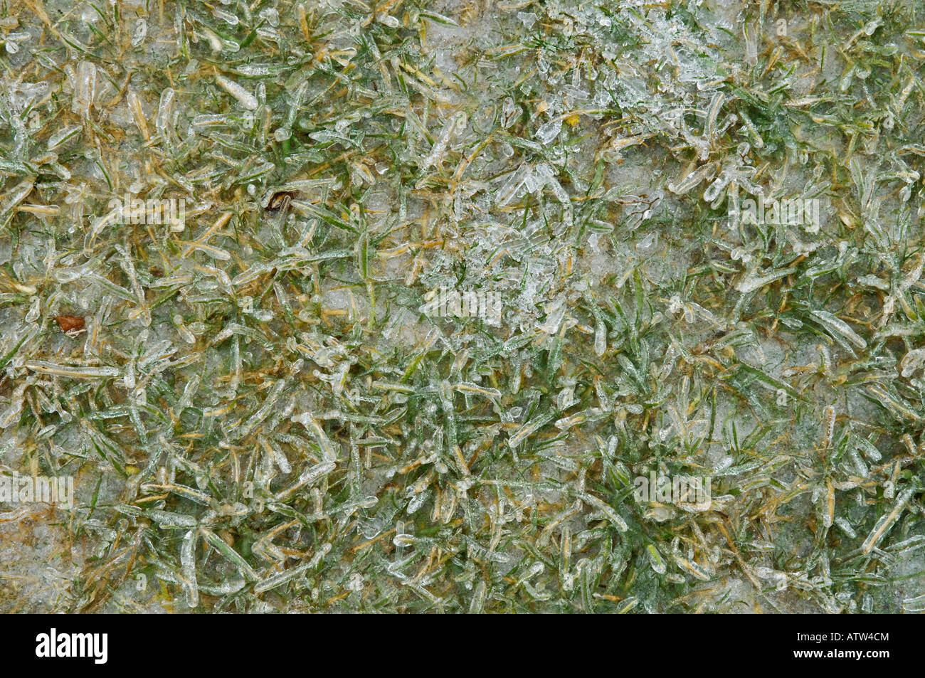 Ice after storm hi-res stock photography and images - Alamy