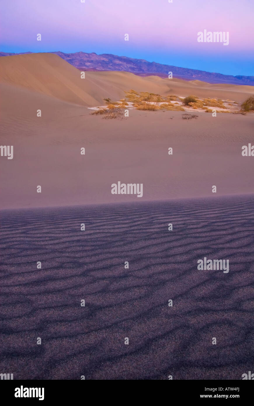Sand Dunes in Death Valley National Park, California, USA Stock Photo ...