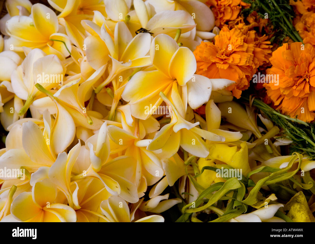 Flower Temple Offerings Street Market Ubud Bali Indonesia Stock Photo ...