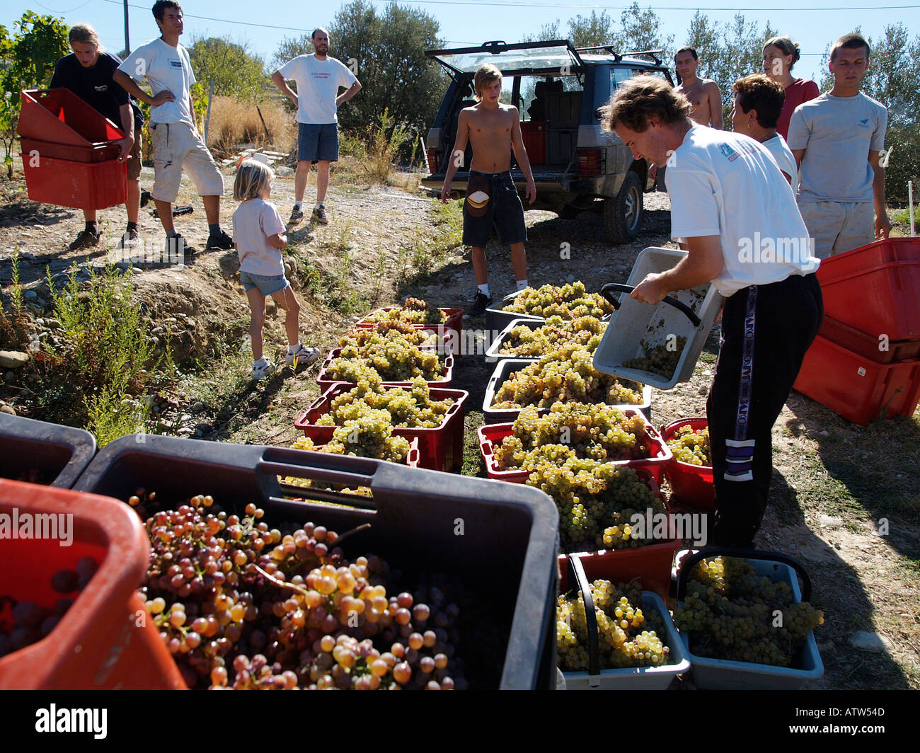 French grape picker hi-res stock photography and images - Alamy