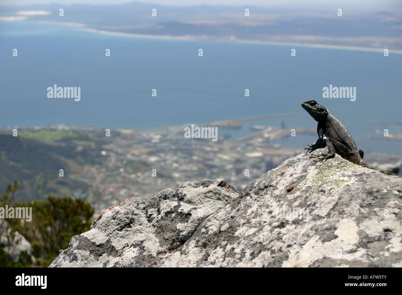 Atop table hi-res stock photography and images - Alamy