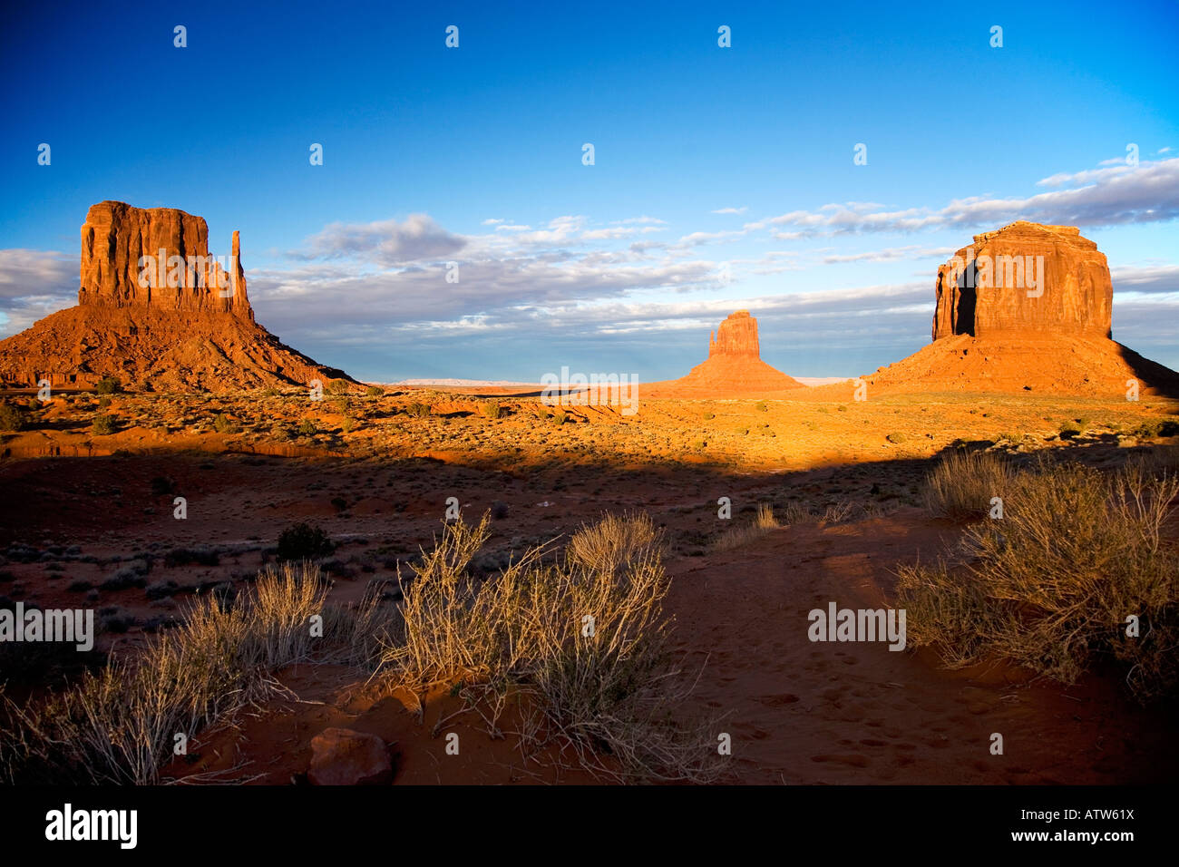 Left and right mitten hi-res stock photography and images - Alamy