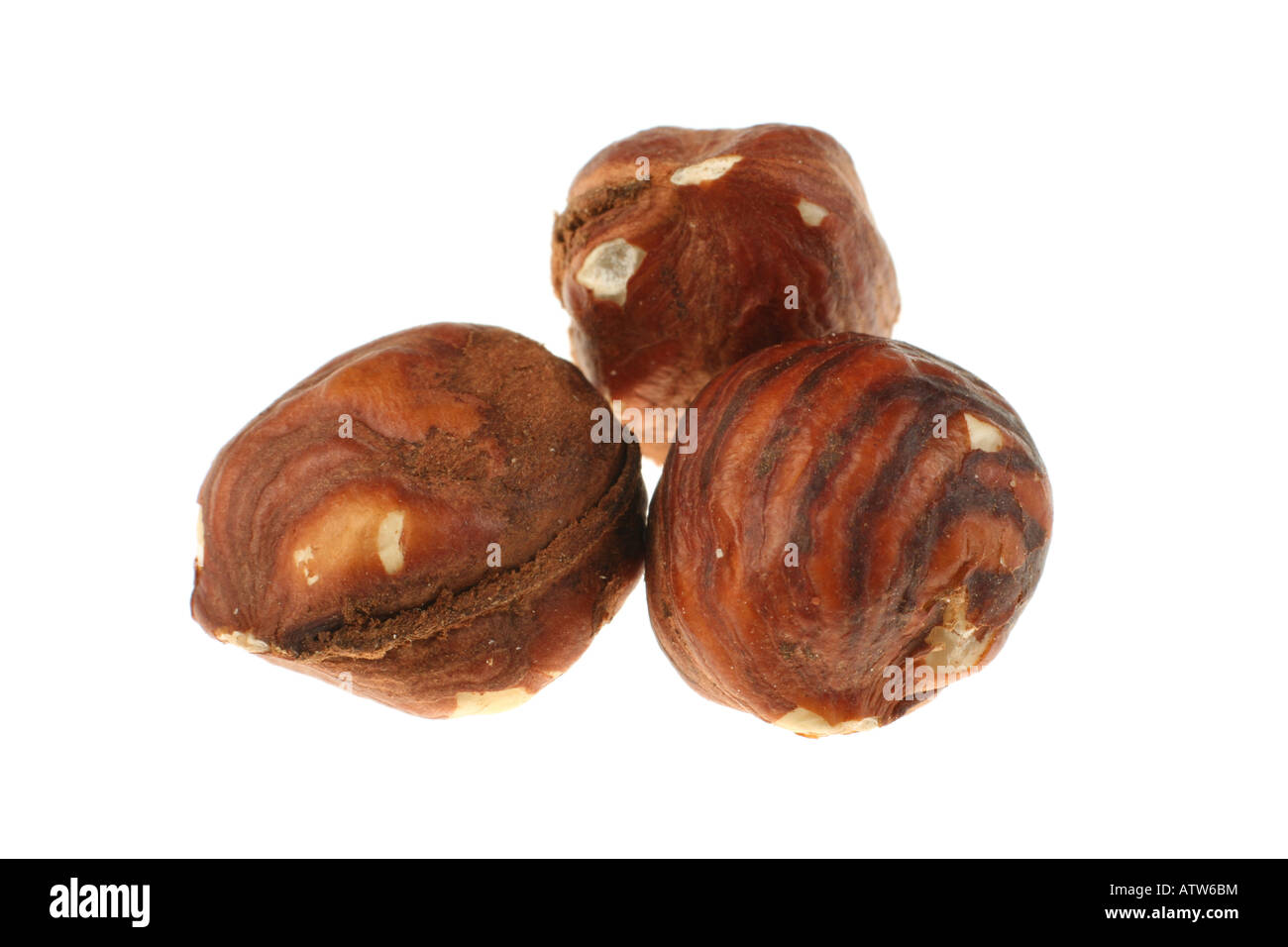 Hazel nut group isolated on white background Stock Photo - Alamy