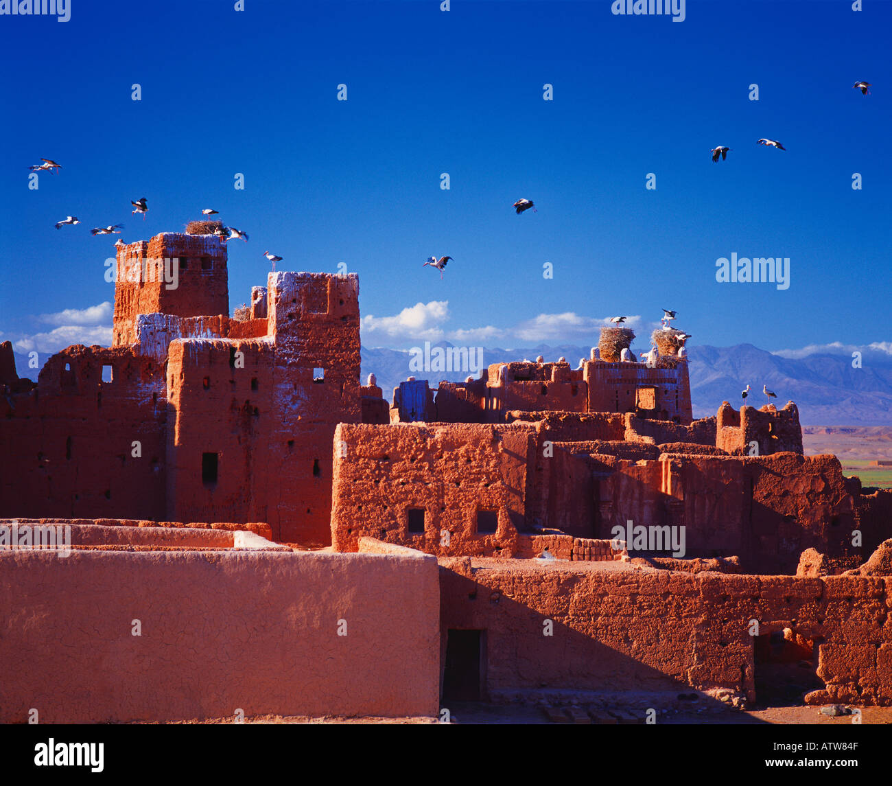 Haut Atlas High Resolution Stock Photography and Images - Alamy