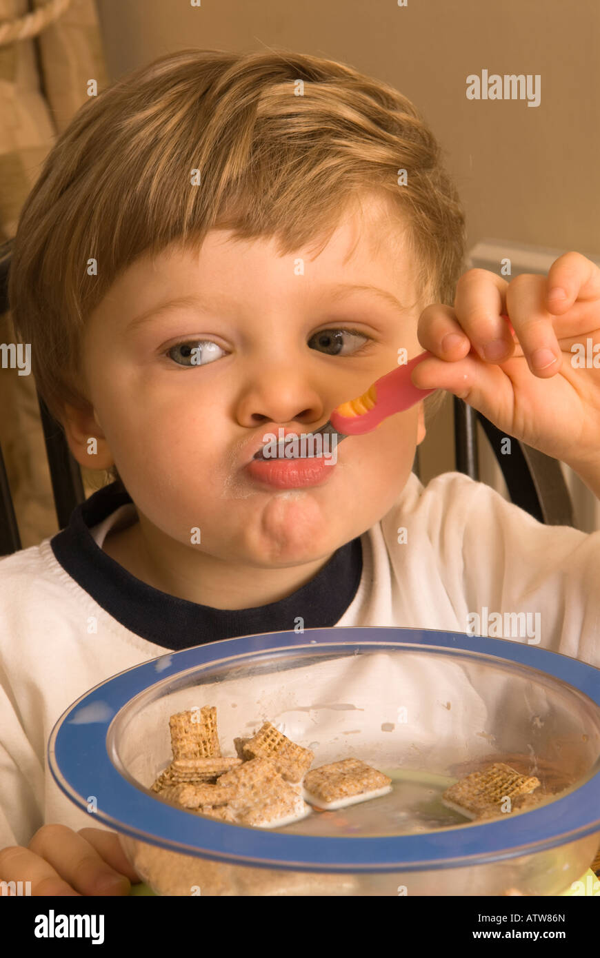 Shreddies milk hi-res stock photography and images - Alamy