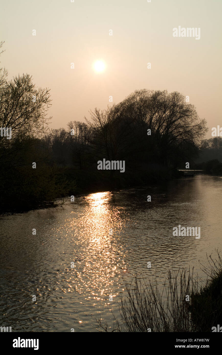 Rivermole hi-res stock photography and images - Alamy