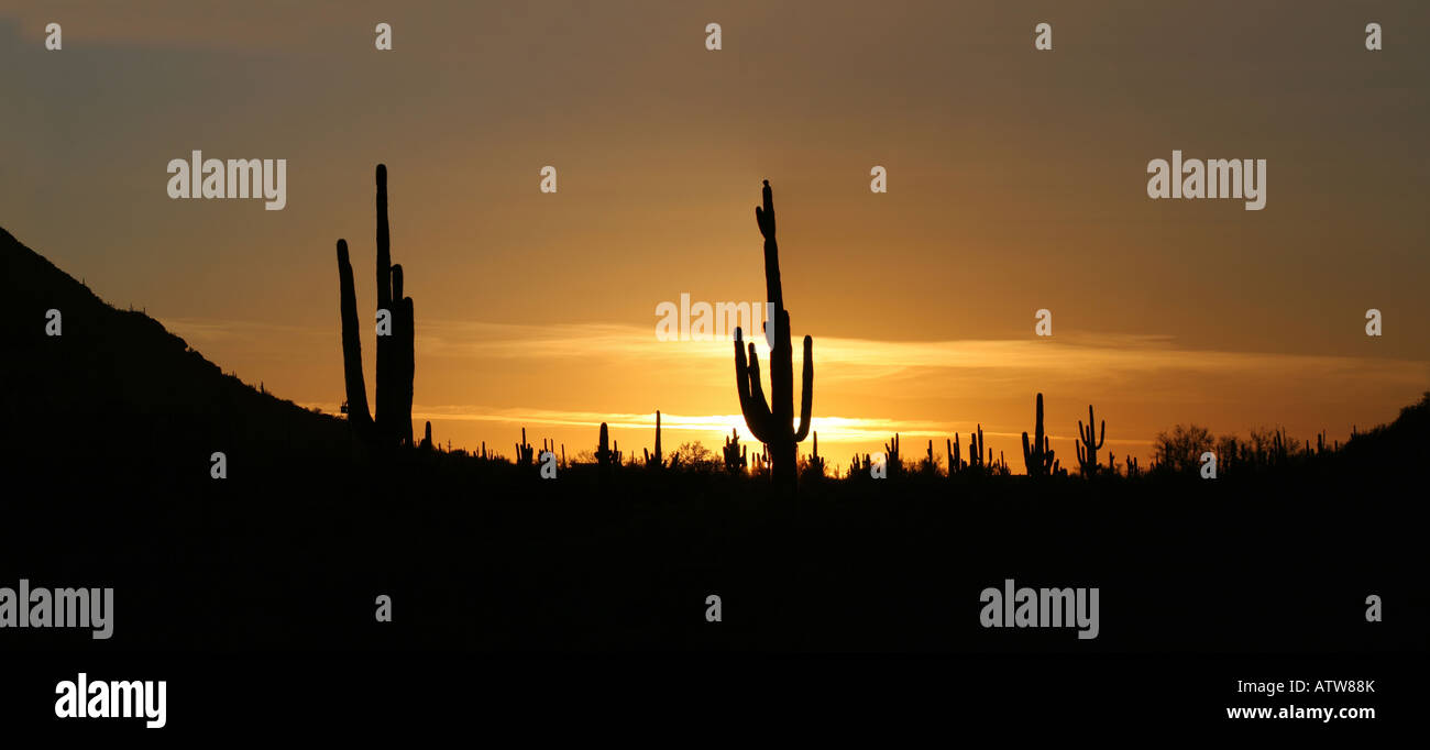 A beautiful sunset photographed in the Sonoran Desert about 40 miles ...
