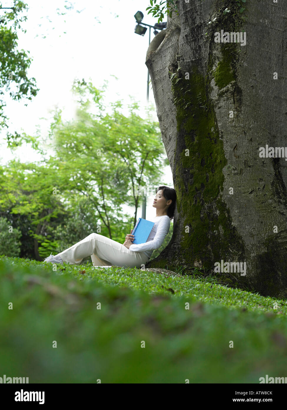 woman resting under tree Stock Photo - Alamy
