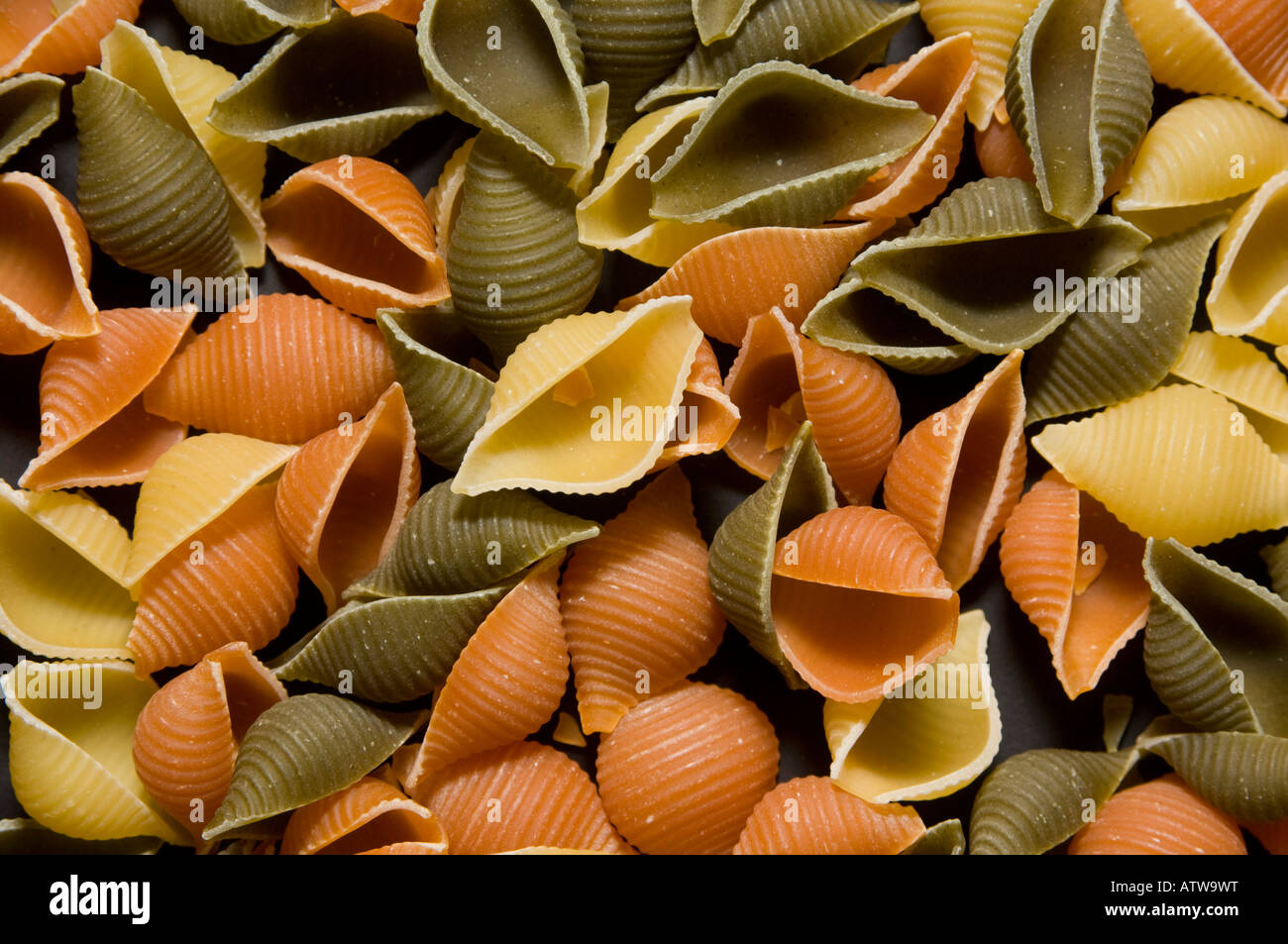 CONCHIGLIE Dried italian tricolore pasta shells Stock Photo - Alamy