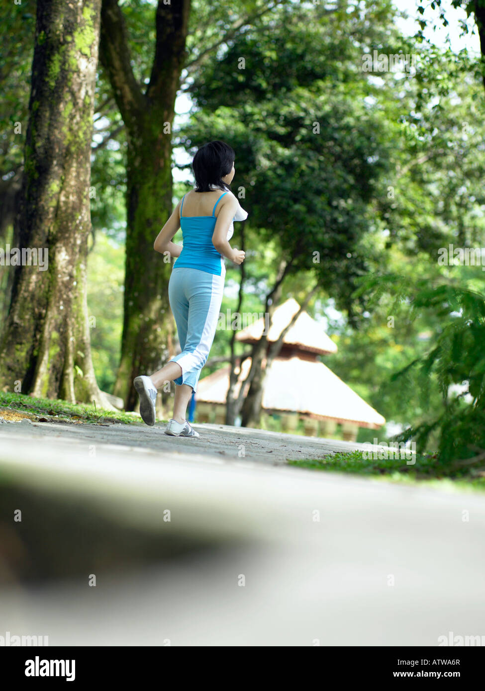 back view of woman jogging in the park Stock Photo - Alamy