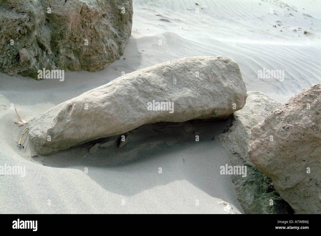 Rocks on a beach Stock Photo - Alamy