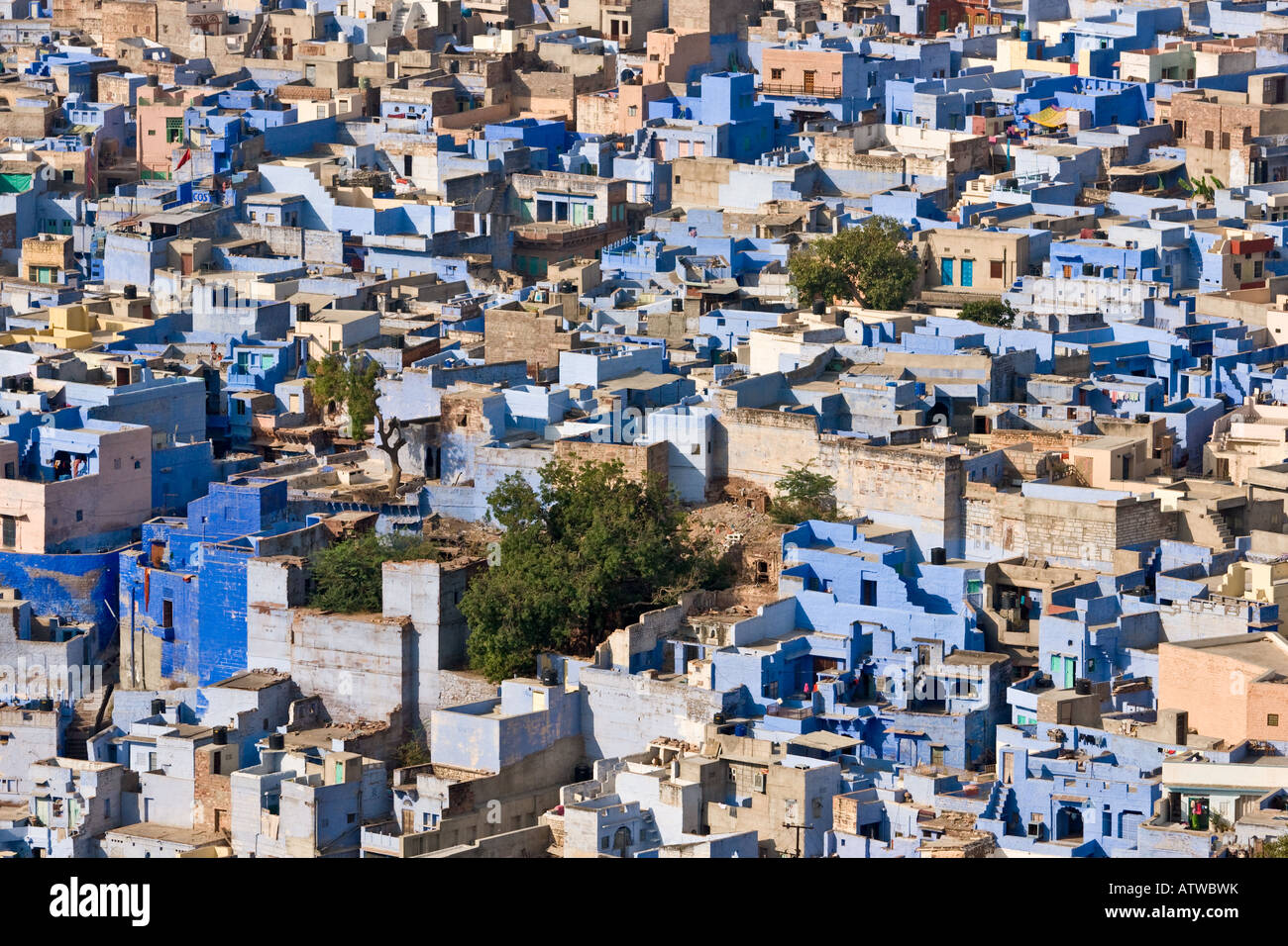 Blue town jodhpur rajasthan hi-res stock photography and images - Alamy