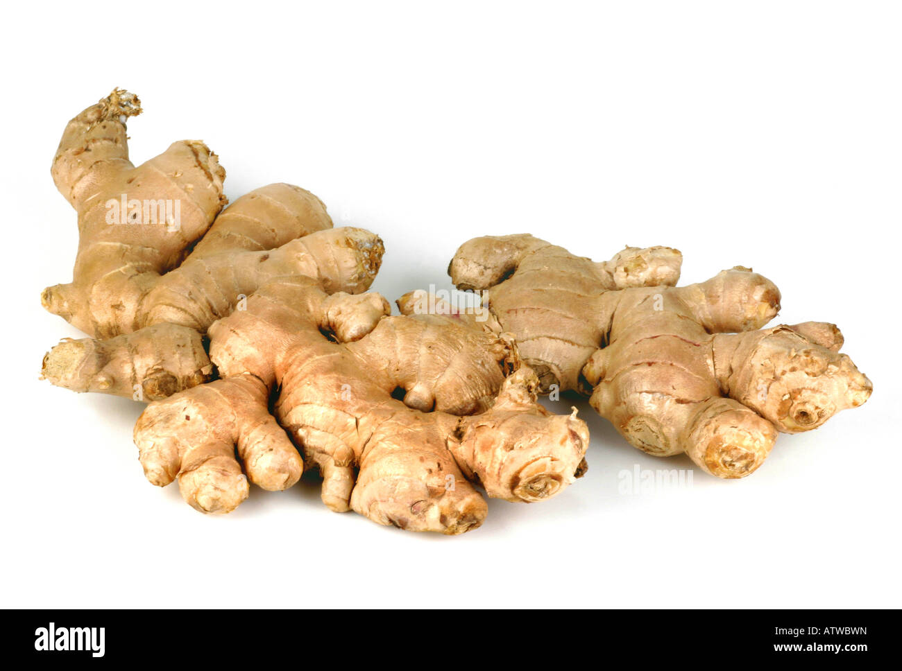 Common knots Cut Out Stock Images & Pictures - Alamy