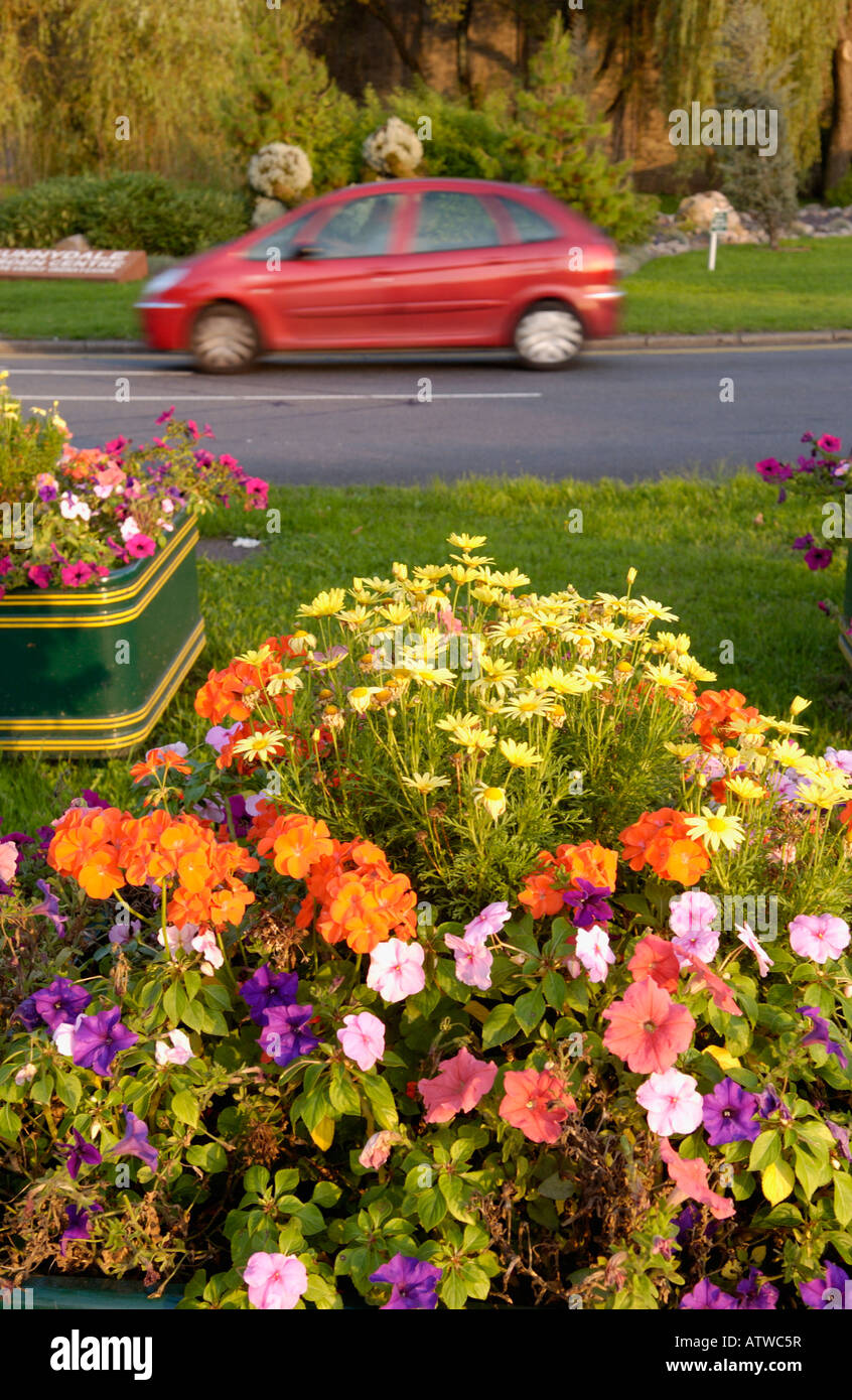 Flower display roundabout hi-res stock photography and images - Alamy