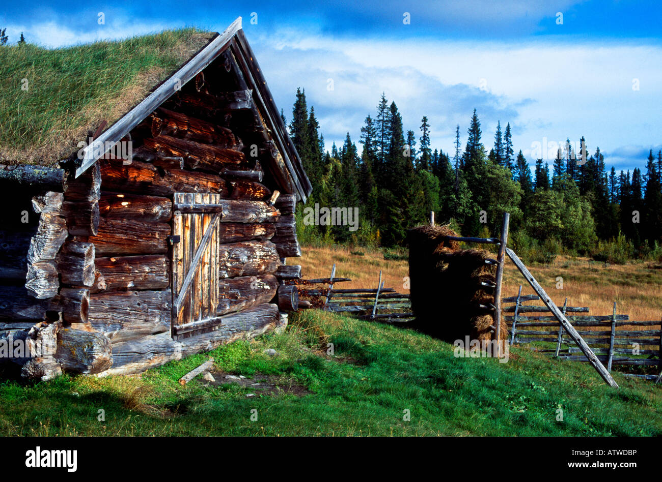 Old hut in summer landscape Stock Photo - Alamy