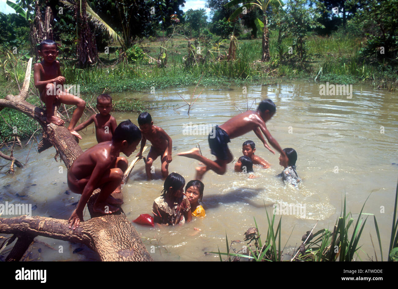 CHILDREN PLAY IN A POND BATTAMBANG CAMBODIA PH DAN WHITE Stock Photo ...