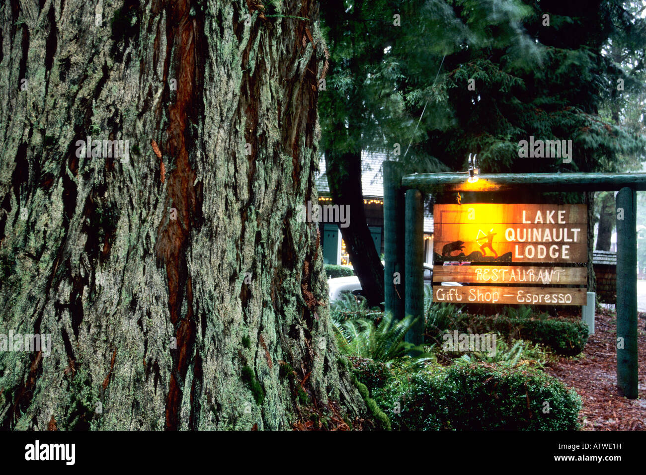 Entrance sign olympic national park hi-res stock photography and images ...