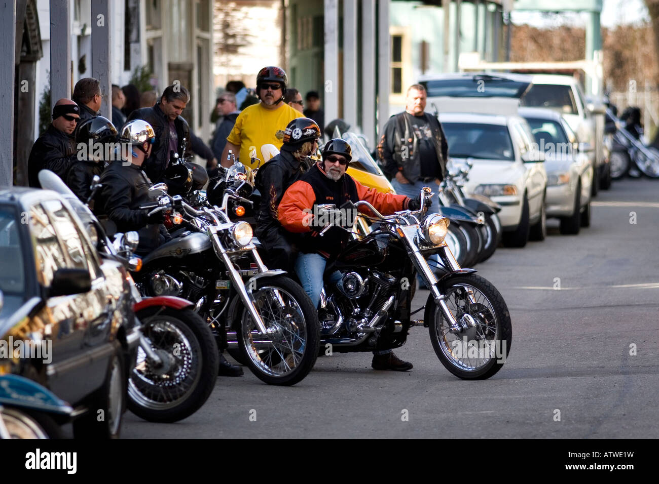 Harley Davidson Biker Gang