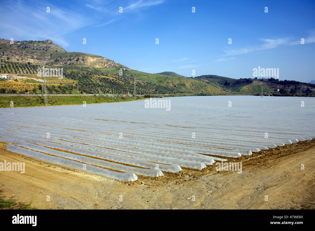 Crops growing under plastic, Valle de Guadalhorce, Malaga Province ...