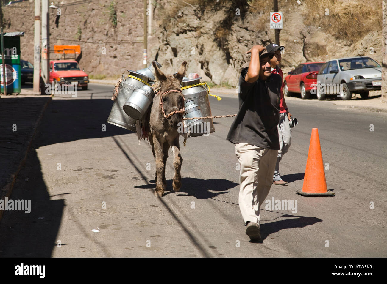 Burro hi-res stock photography and images - Alamy