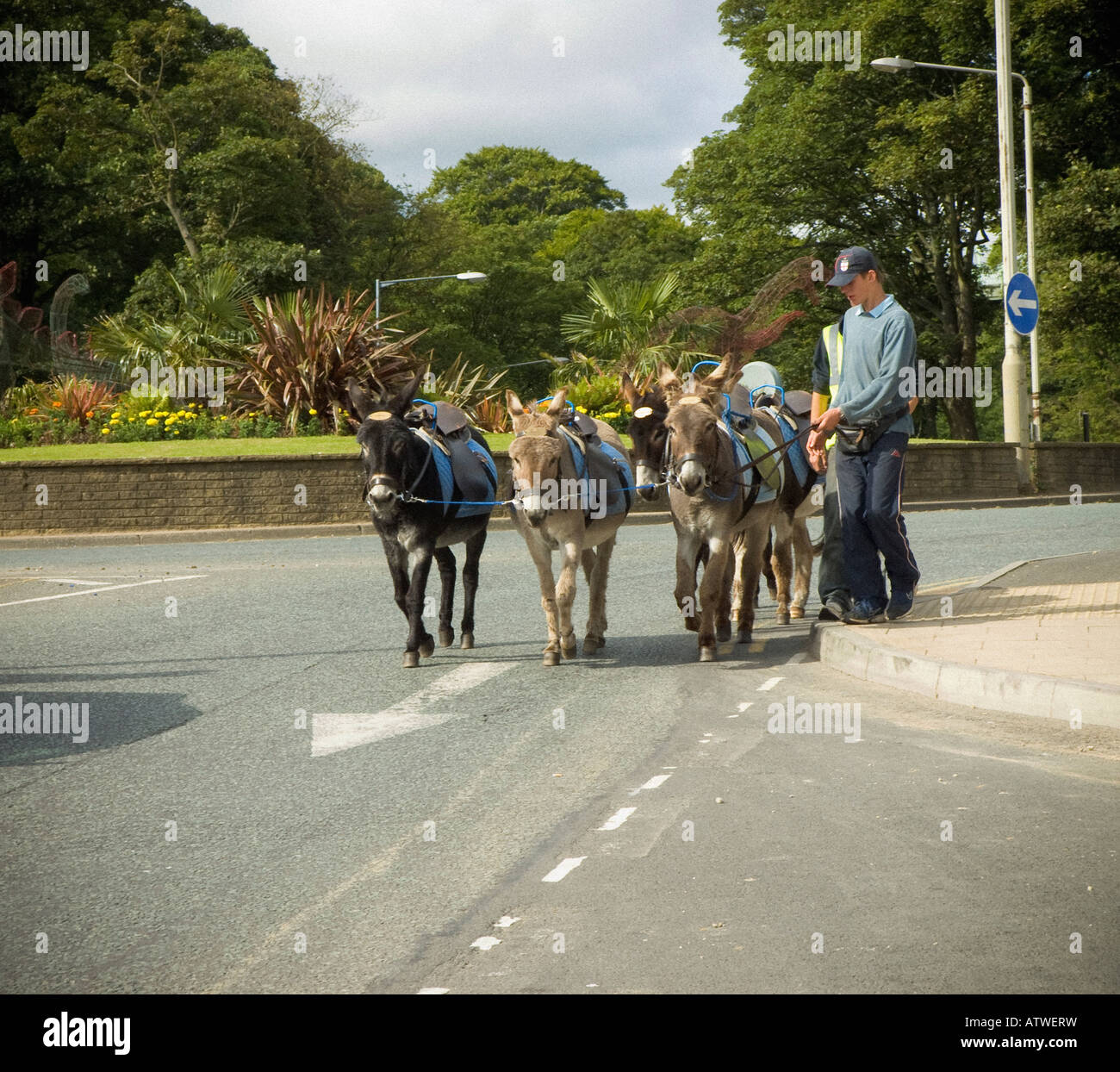 Lead By Donkeys: Led By Donkeys – EVXAGG