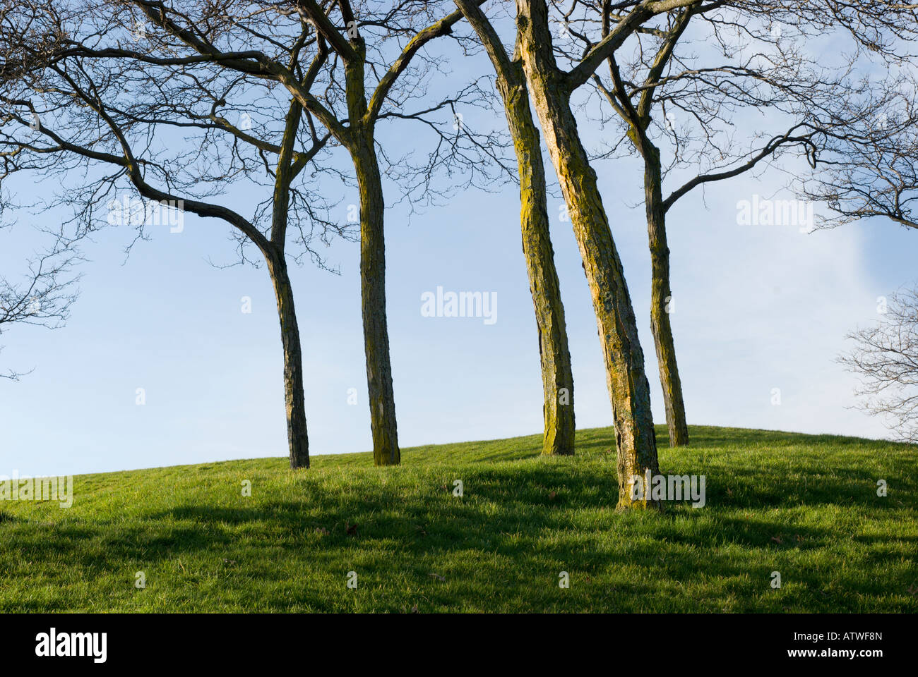 Grouping High Resolution Stock Photography and Images - Alamy