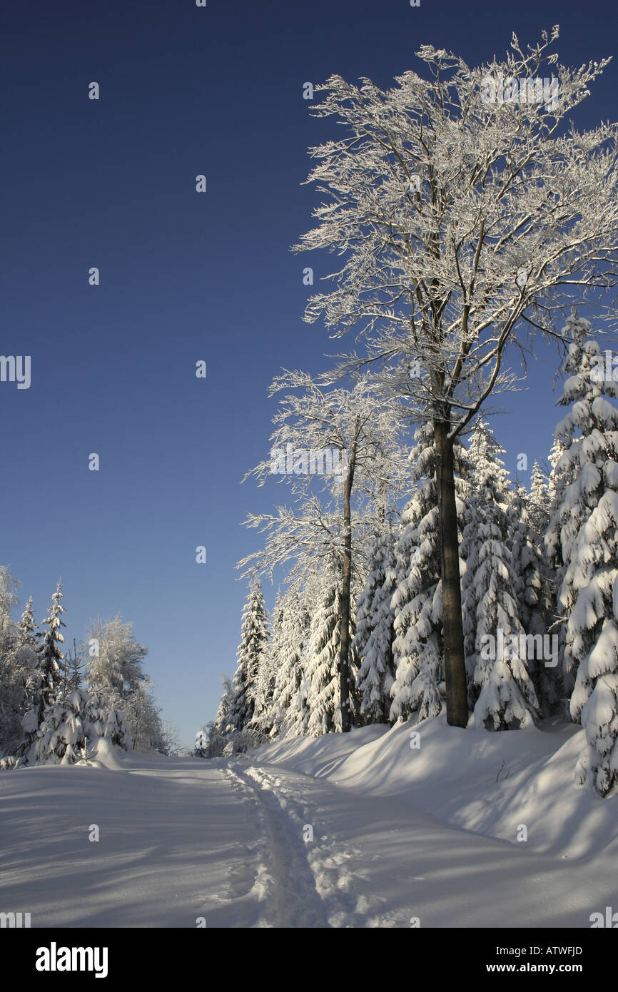 Chilblain hi-res stock photography and images - Alamy