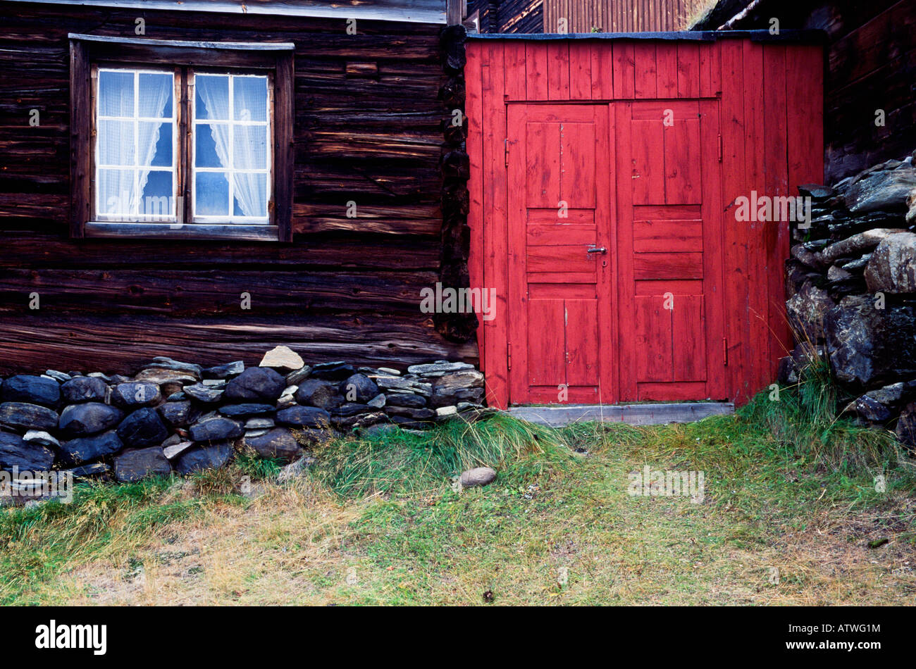 Red dorr in the backyard Stock Photo - Alamy