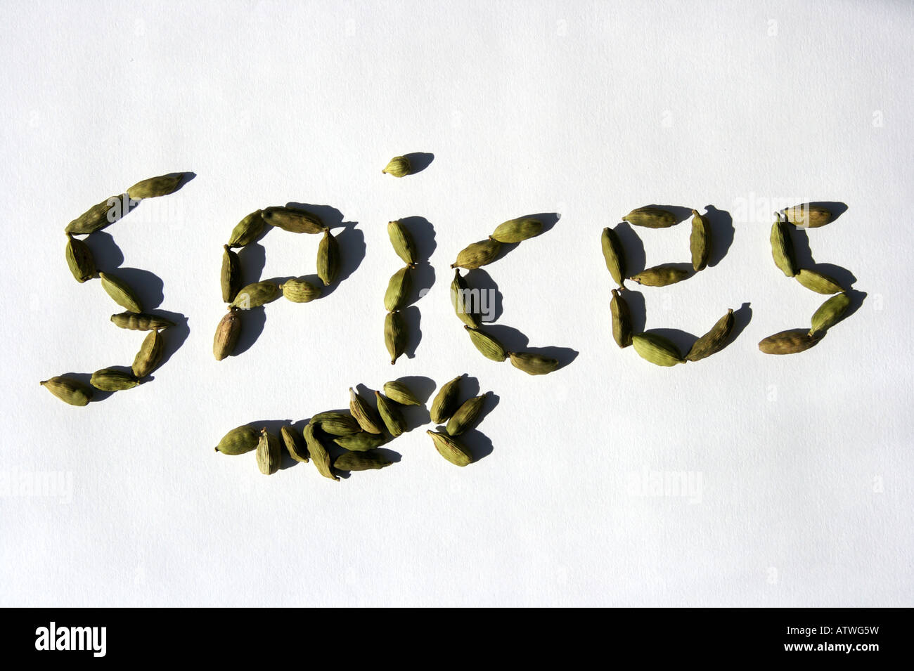 Cardamom pods elettaria cardamomum zingiberaceae hi-res stock ...