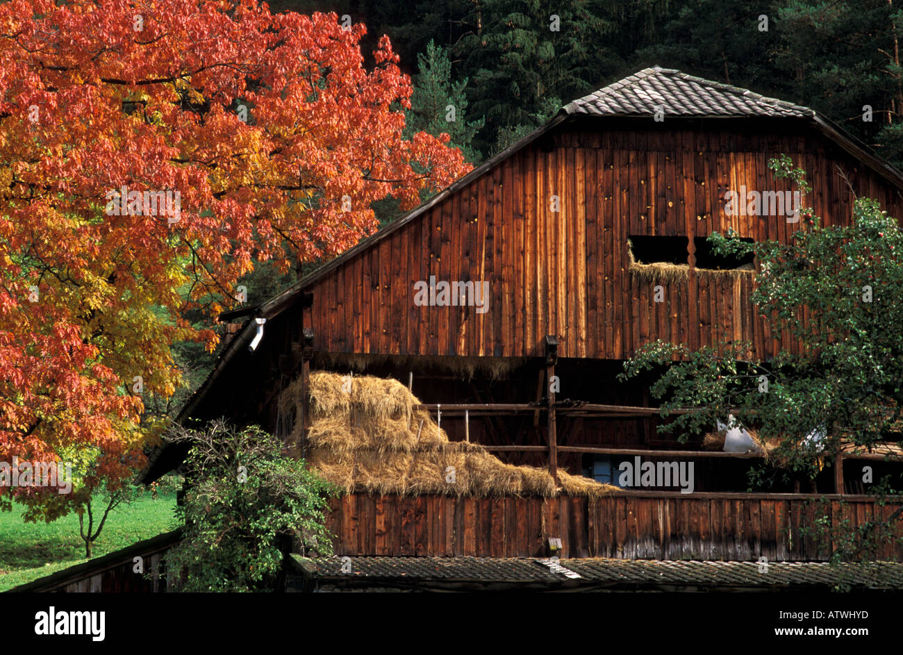Typical building Maso Val Pusteria Trentino Alto Adige Italy Stock ...