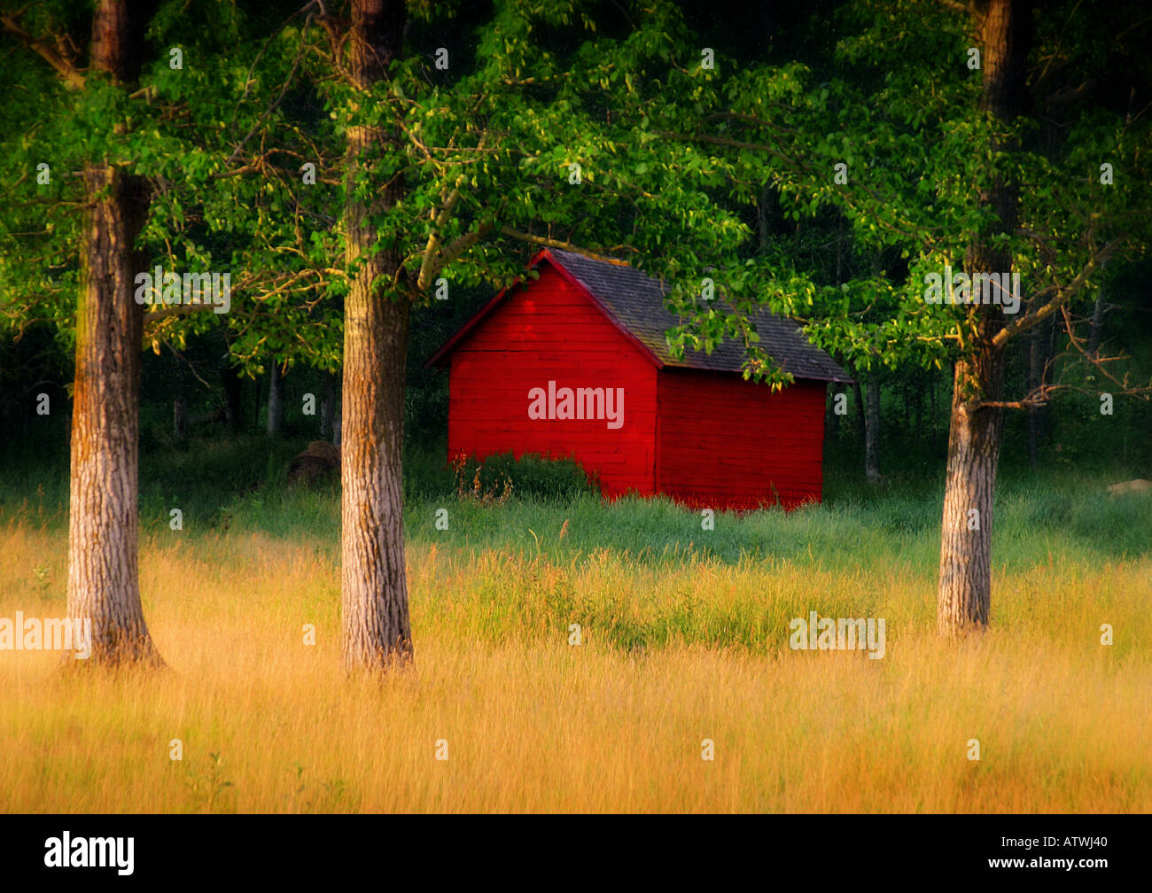 A red Hut in The Woods in Alberta Canada Stock Photo - Alamy