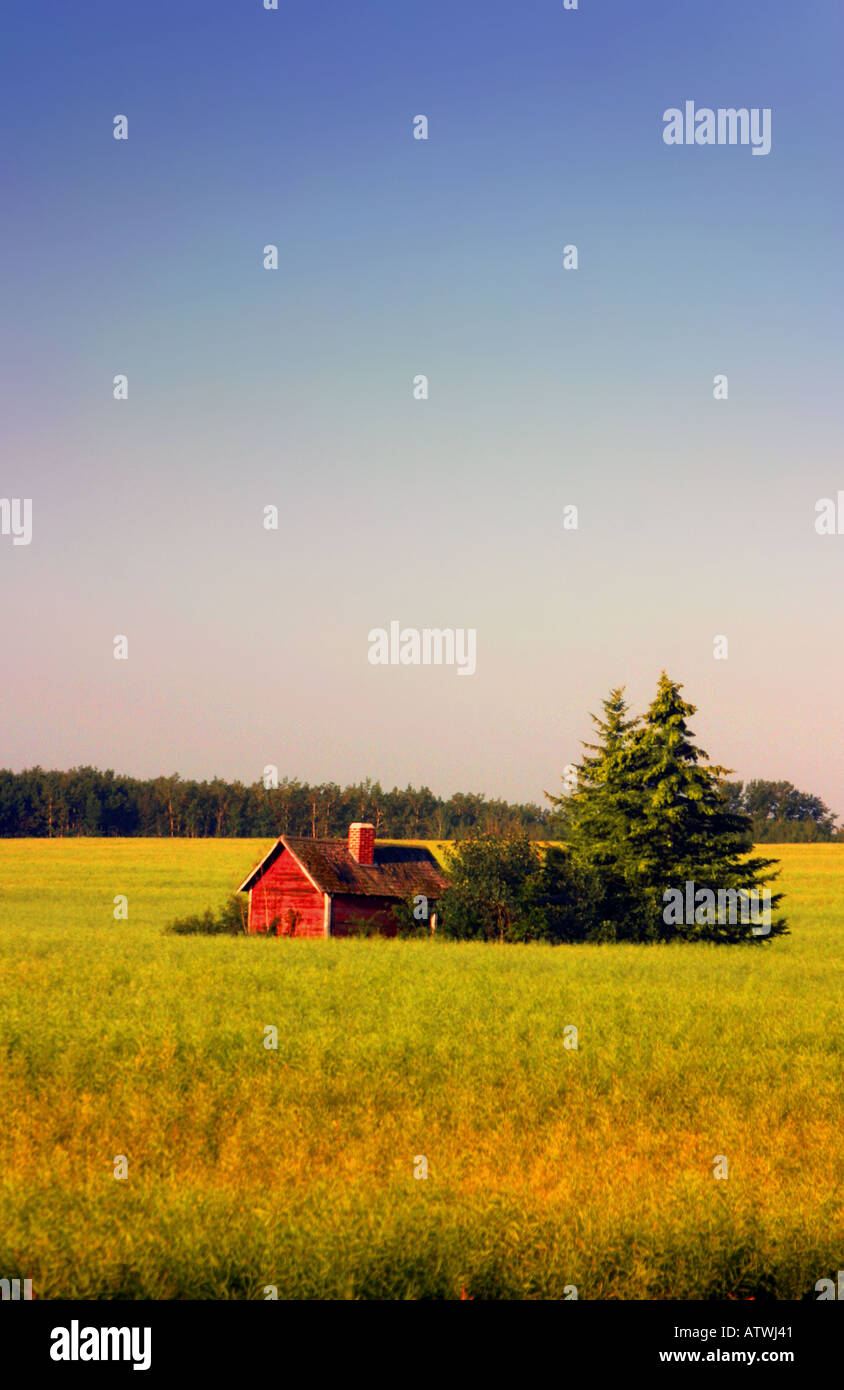 A house in the Fields Stock Photo - Alamy