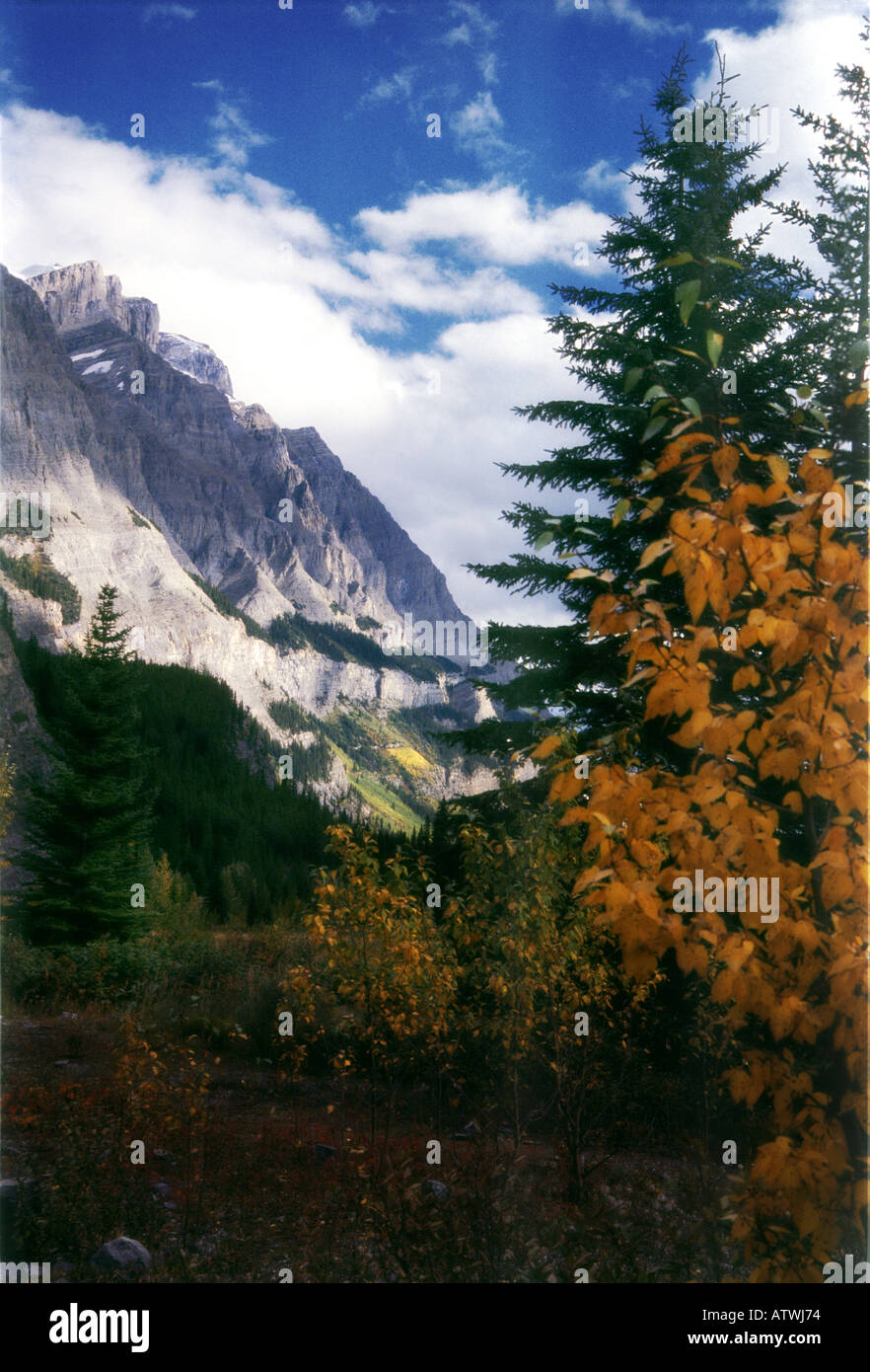 Mountain View Alberta Canada Stock Photo - Alamy