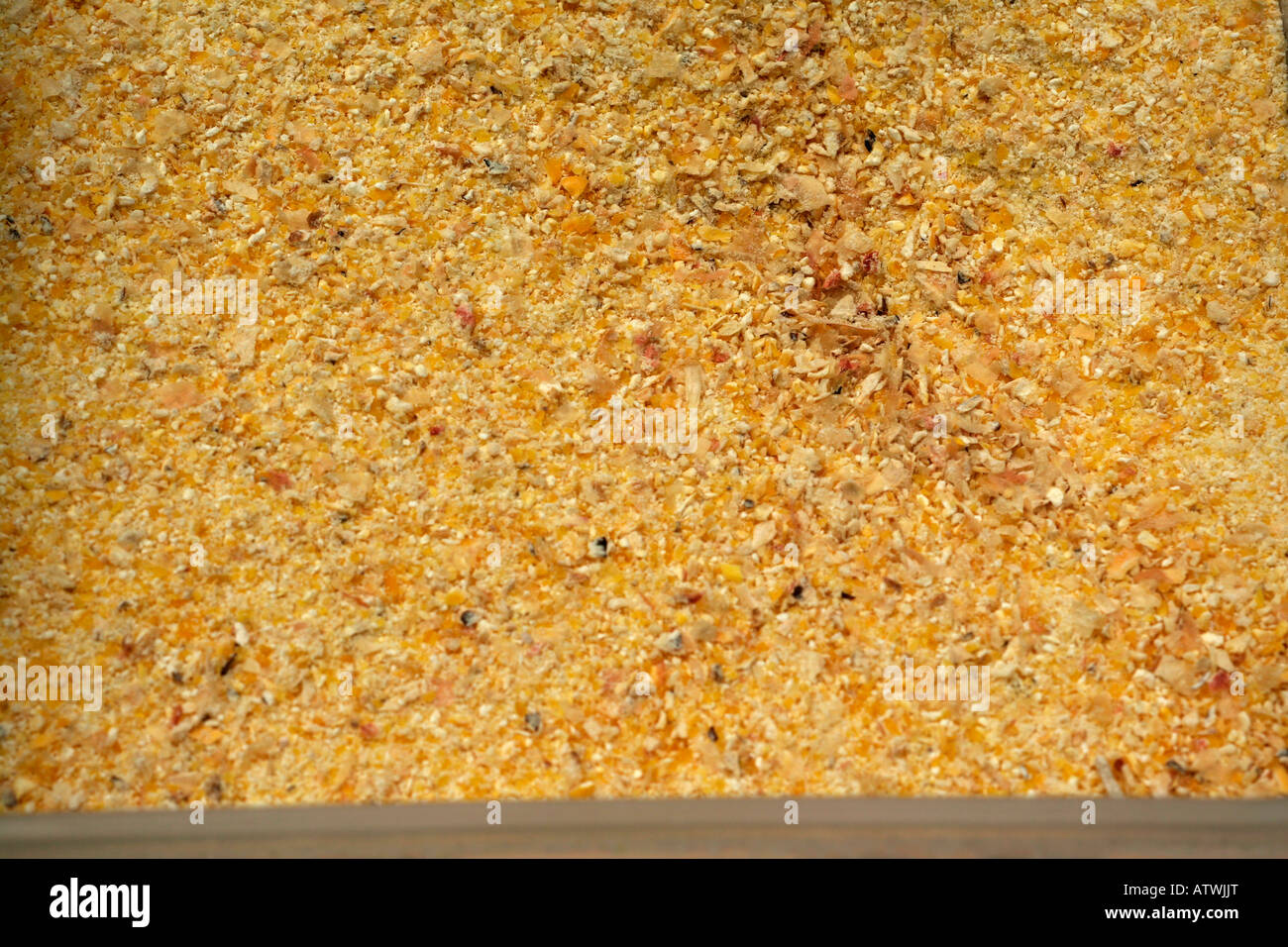 Cracked yellow corn (maize) for animal feed Stock Photo - Alamy