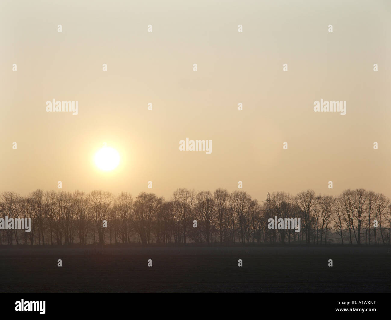 sunrise over trees on the horizon Stock Photo - Alamy