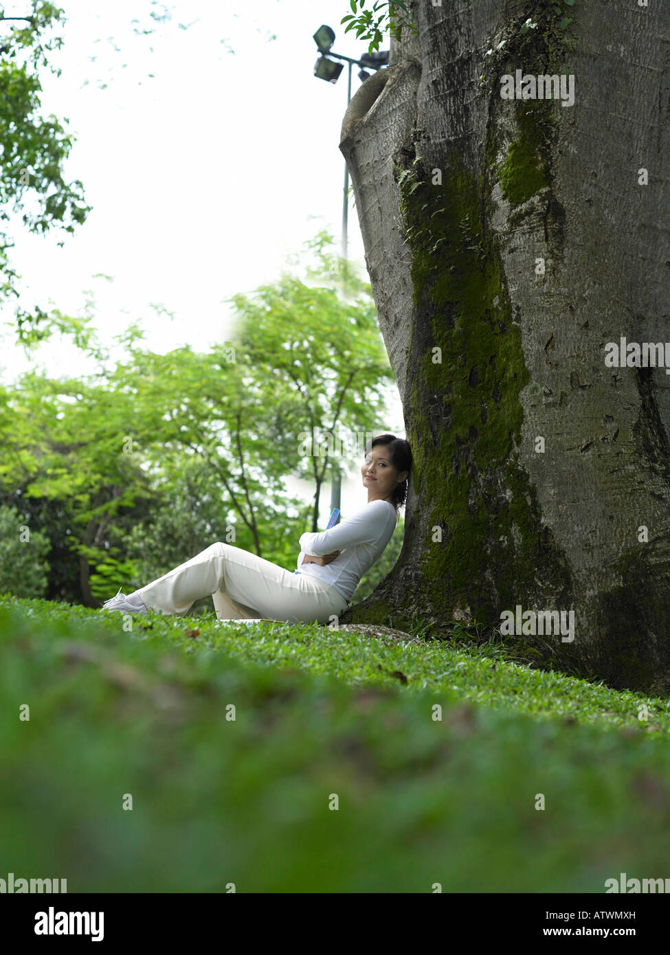 woman leaning against the tree trunk Stock Photo - Alamy