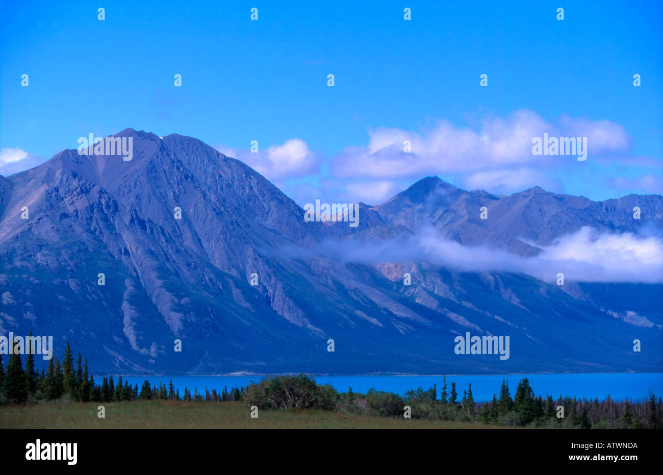 Kluane national parks hi-res stock photography and images - Alamy