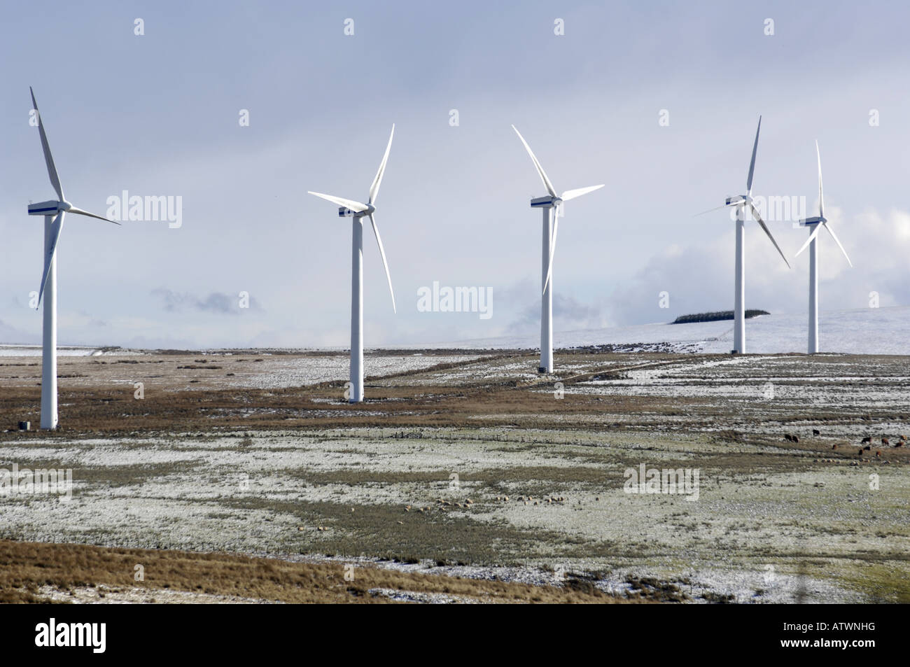 Windfarm green energy production Wind turbines Scottish borders ...