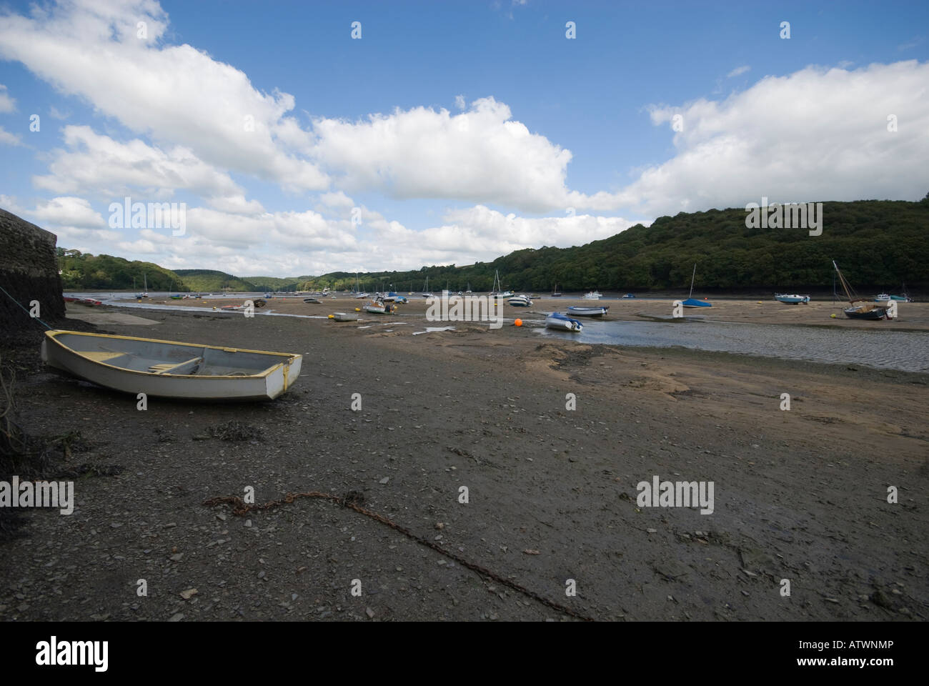 Lowtide at the River Fowey at Golant, Cornwall Stock Photo - Alamy